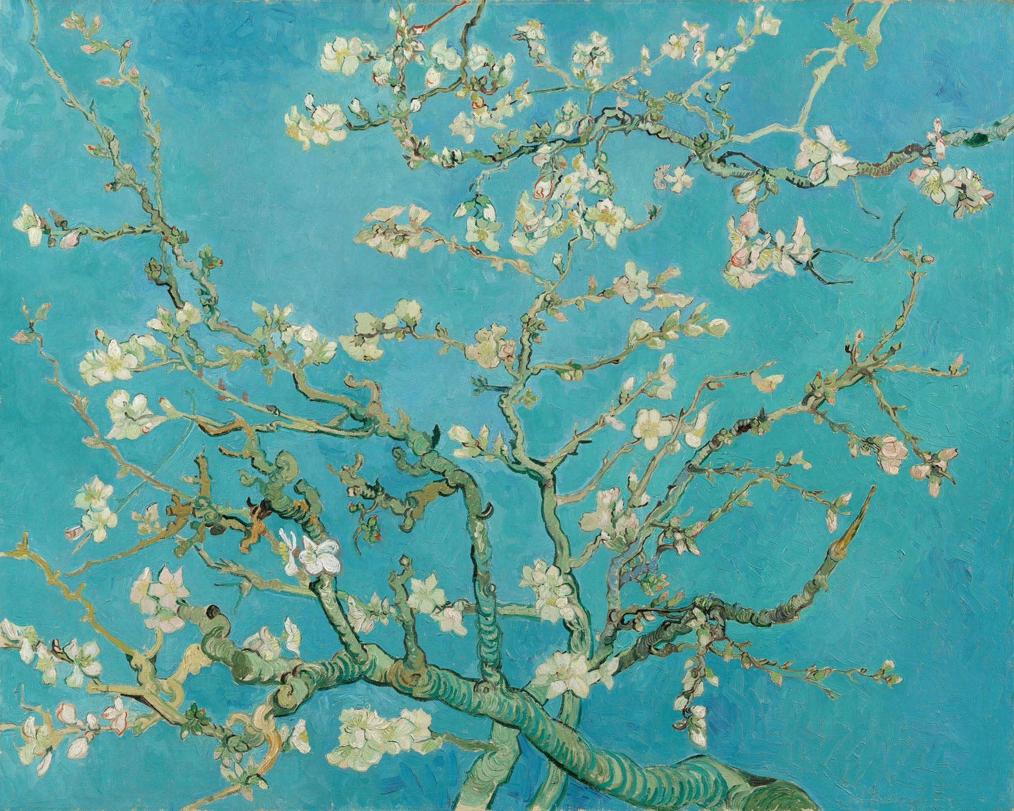 Cherry Blossoms by Vincent van Gogh - Classic European Botanical Art ...